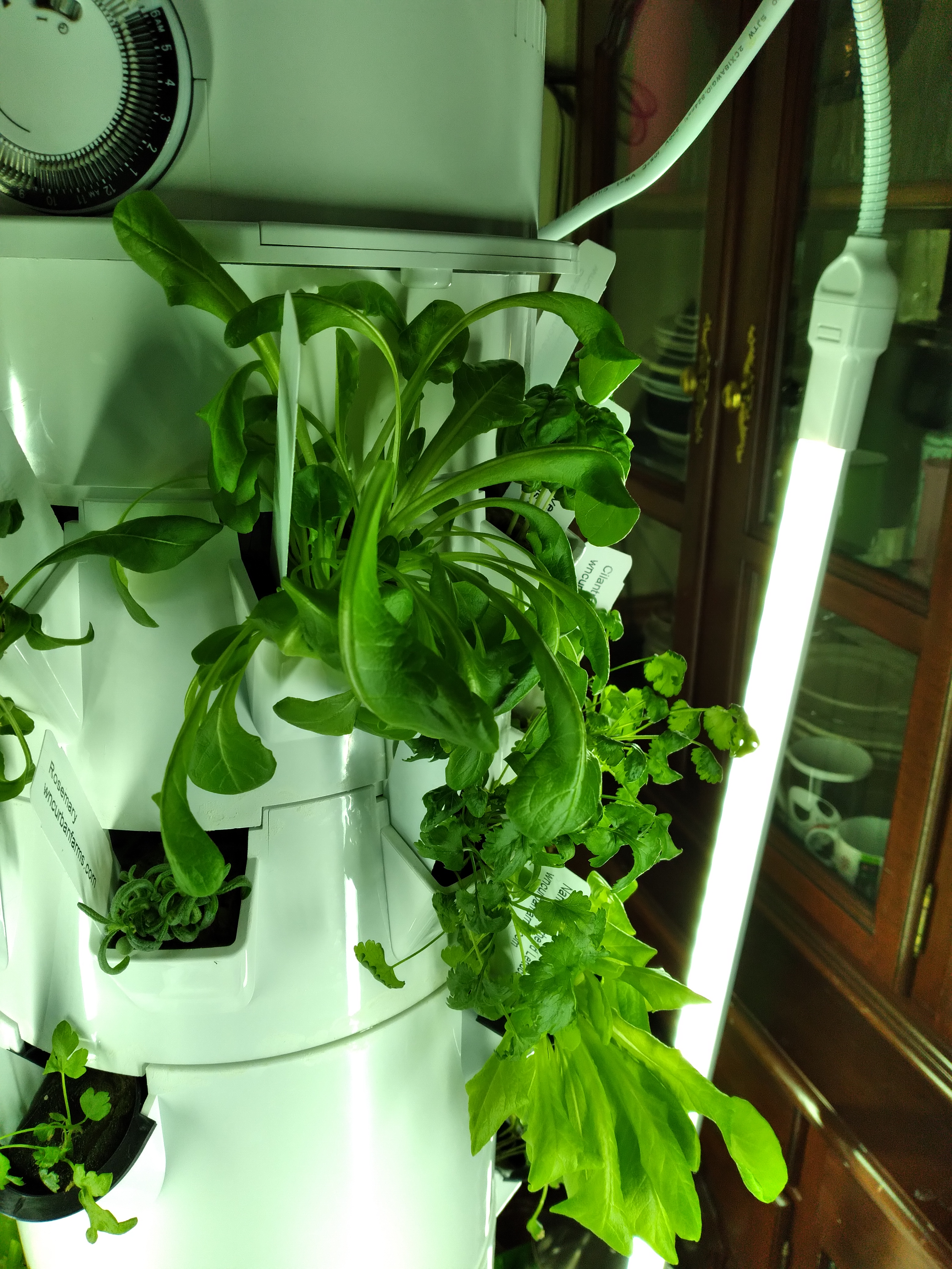 Tower Gardens – Yésa Nédéwahe Saponi-Tutelo Indigenous Gardens